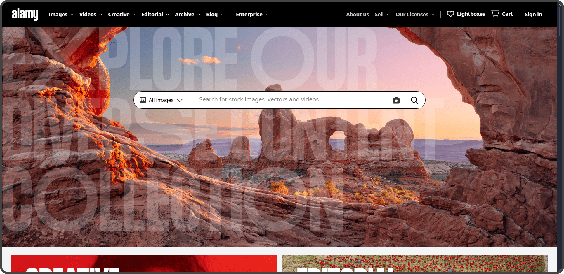 The Best Paid Stock Photo Sites - Top 5 Picks - PicZama